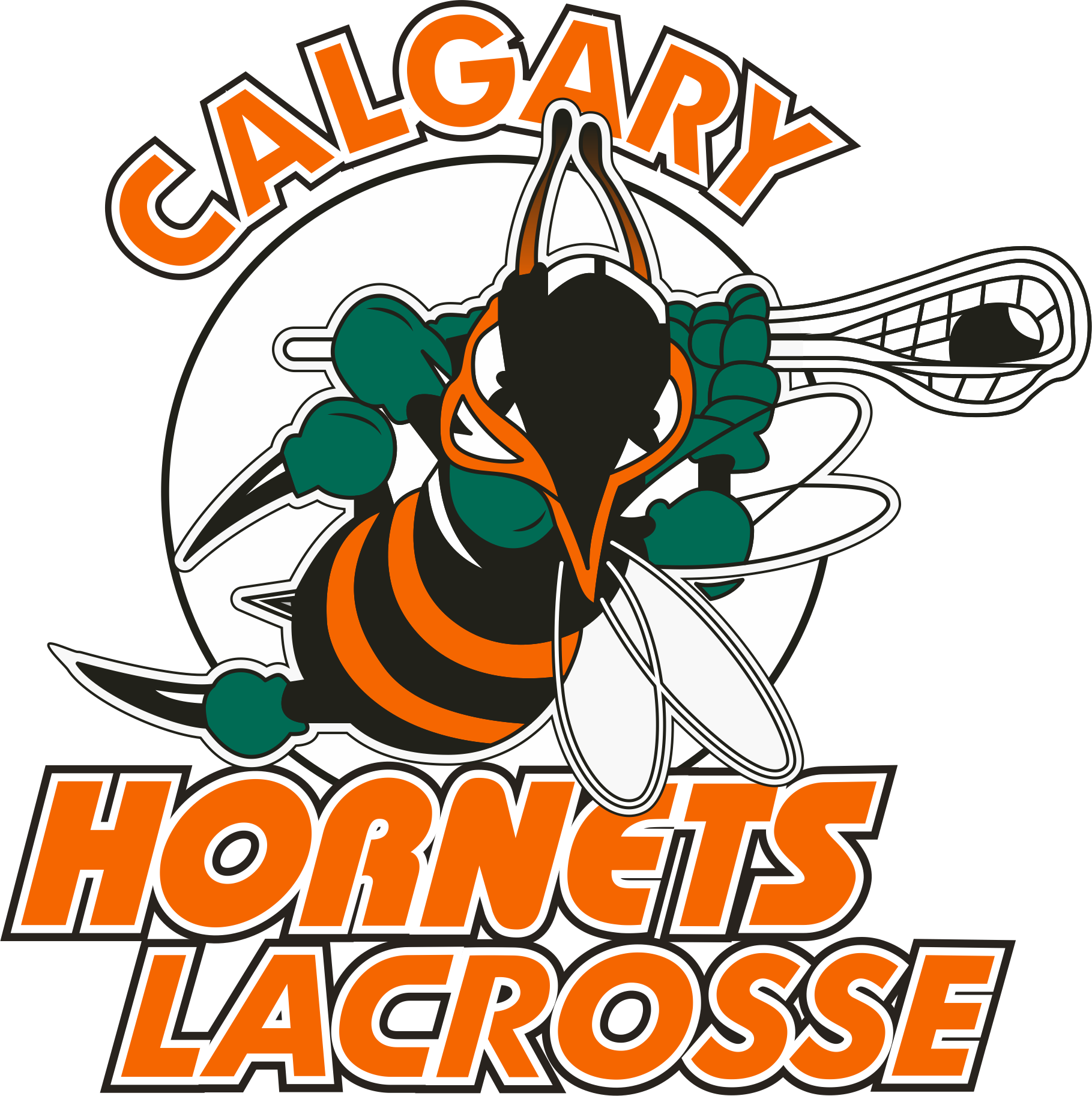 Calgary District Lacrosse : Website by RAMP InterActive